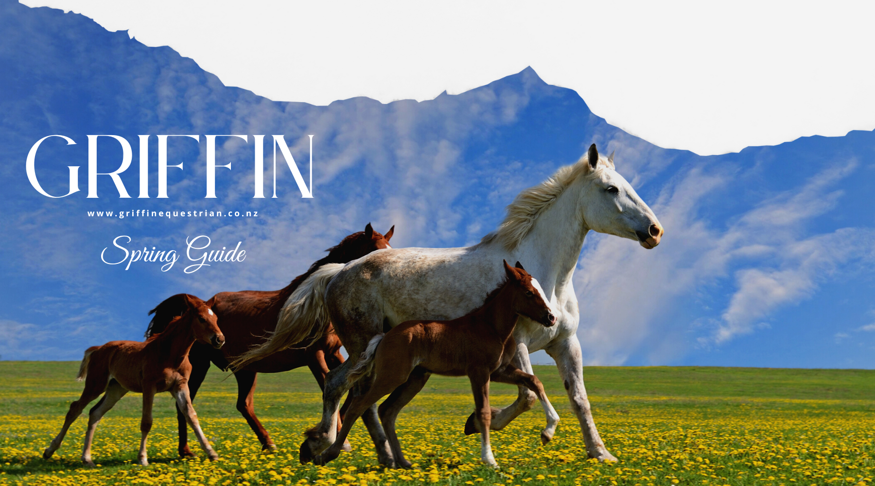 Spring Guide – Griffin Equestrian